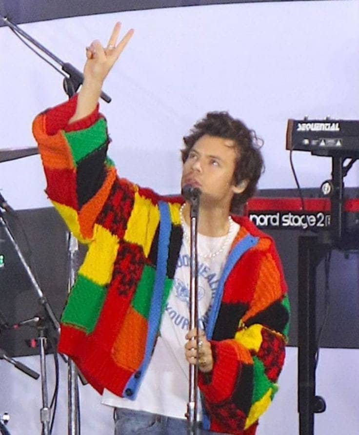 Harry Styles Hand Knit Sweater - Etsy