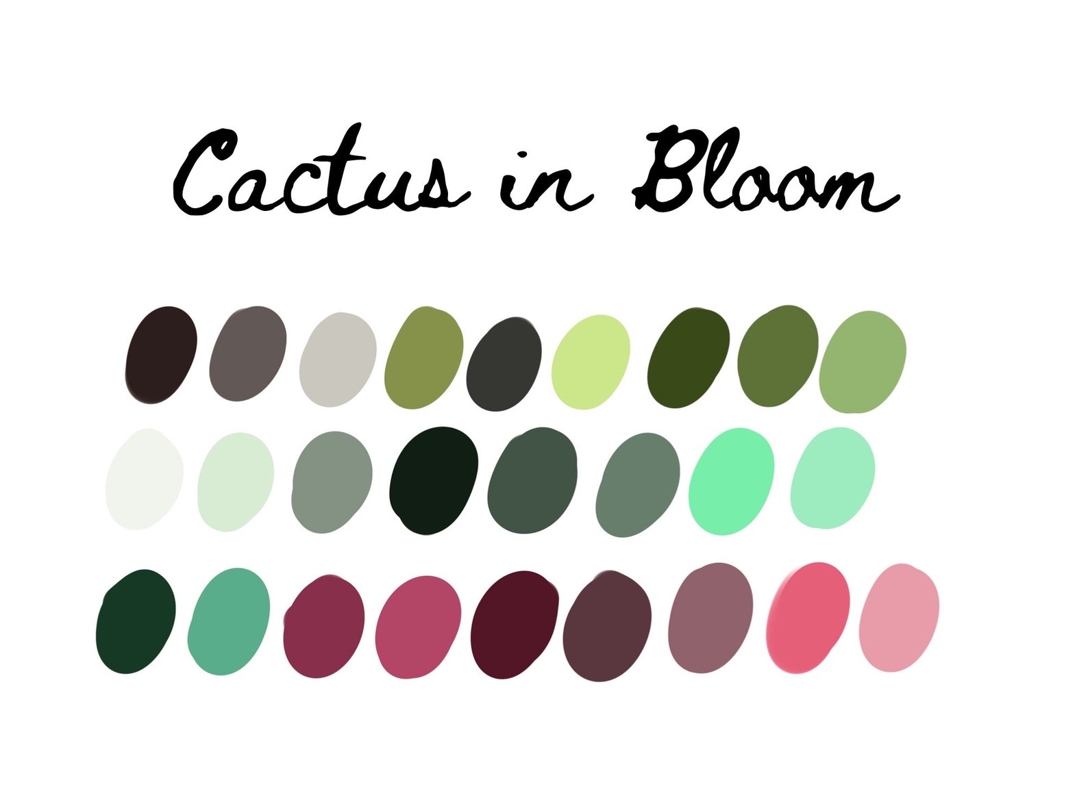 Cactus in Bloom Procreate Color Swatch, Procreate Palette, Color ...
