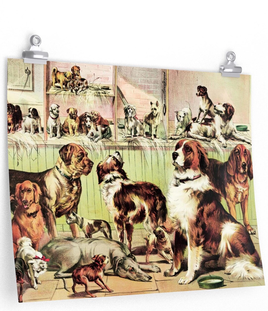 Vintage Dog Breeds Poster: Funny Canine Wall Art - Etsy