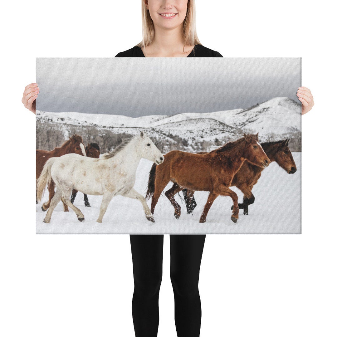 Wildlife Art, Wild Horses Snowscape Canvas, Snowscape, Gift for Her ...