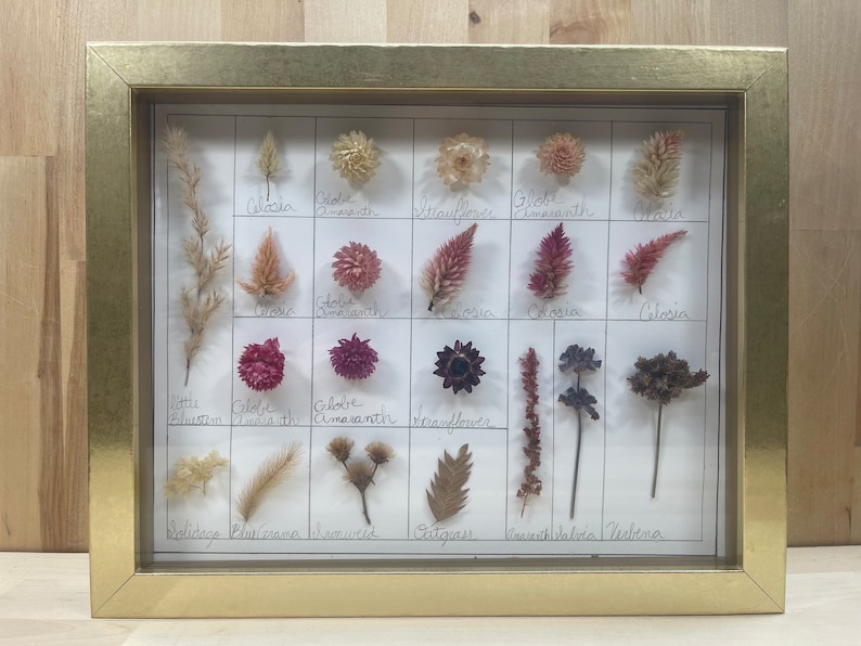 Framed Dried Flower Art - Etsy