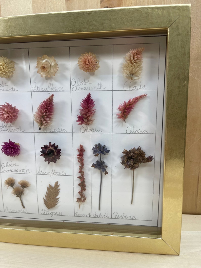 Framed Dried Flower Art - Etsy