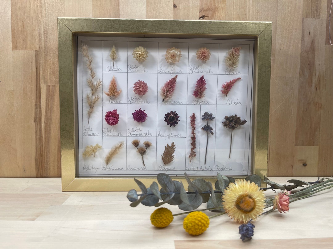 Framed Dried Flower Art - Etsy