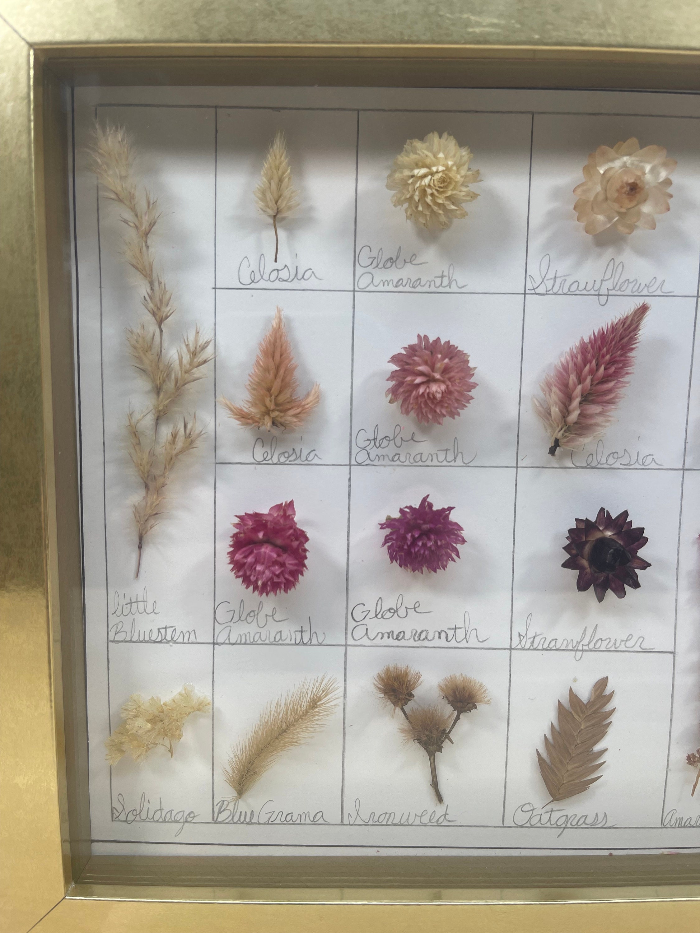 Framed Dried Flower Art - Etsy