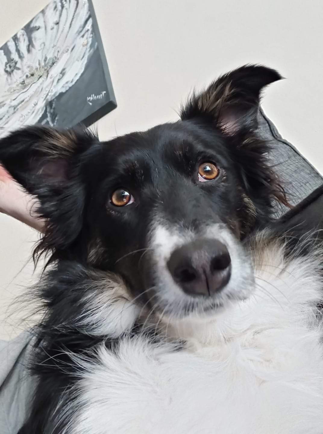 Matildas Mystery Music Box - Etsy