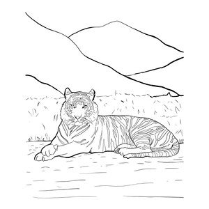 Coloring Page for Adults Wildlife Animal Tiger Printable Adult Coloring ...