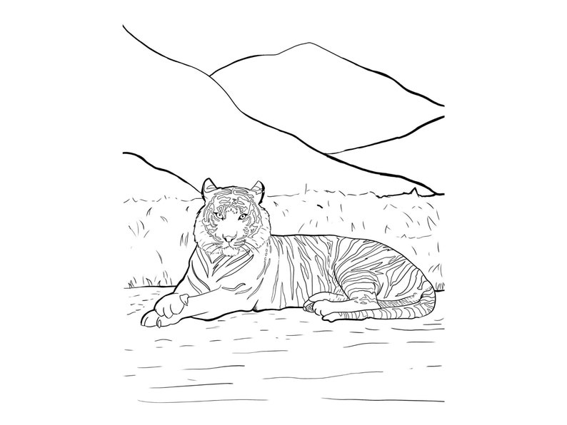 Coloring Page for Adults Wildlife Animal Tiger Printable Adult Coloring ...