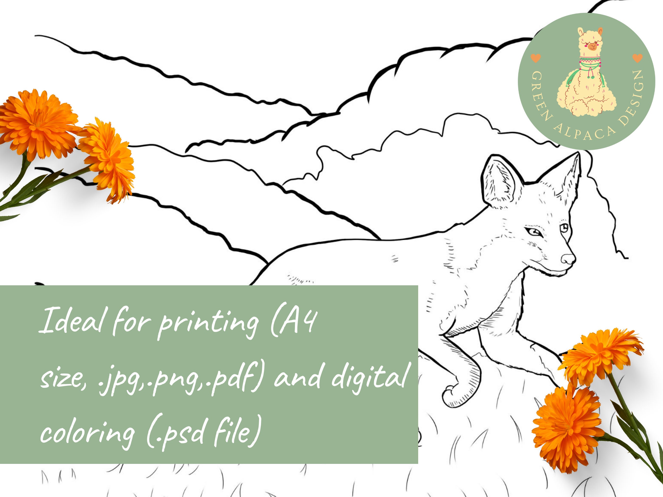 Coloring Page for Adults Wildlife Animal Fox Printable Adult Coloring ...