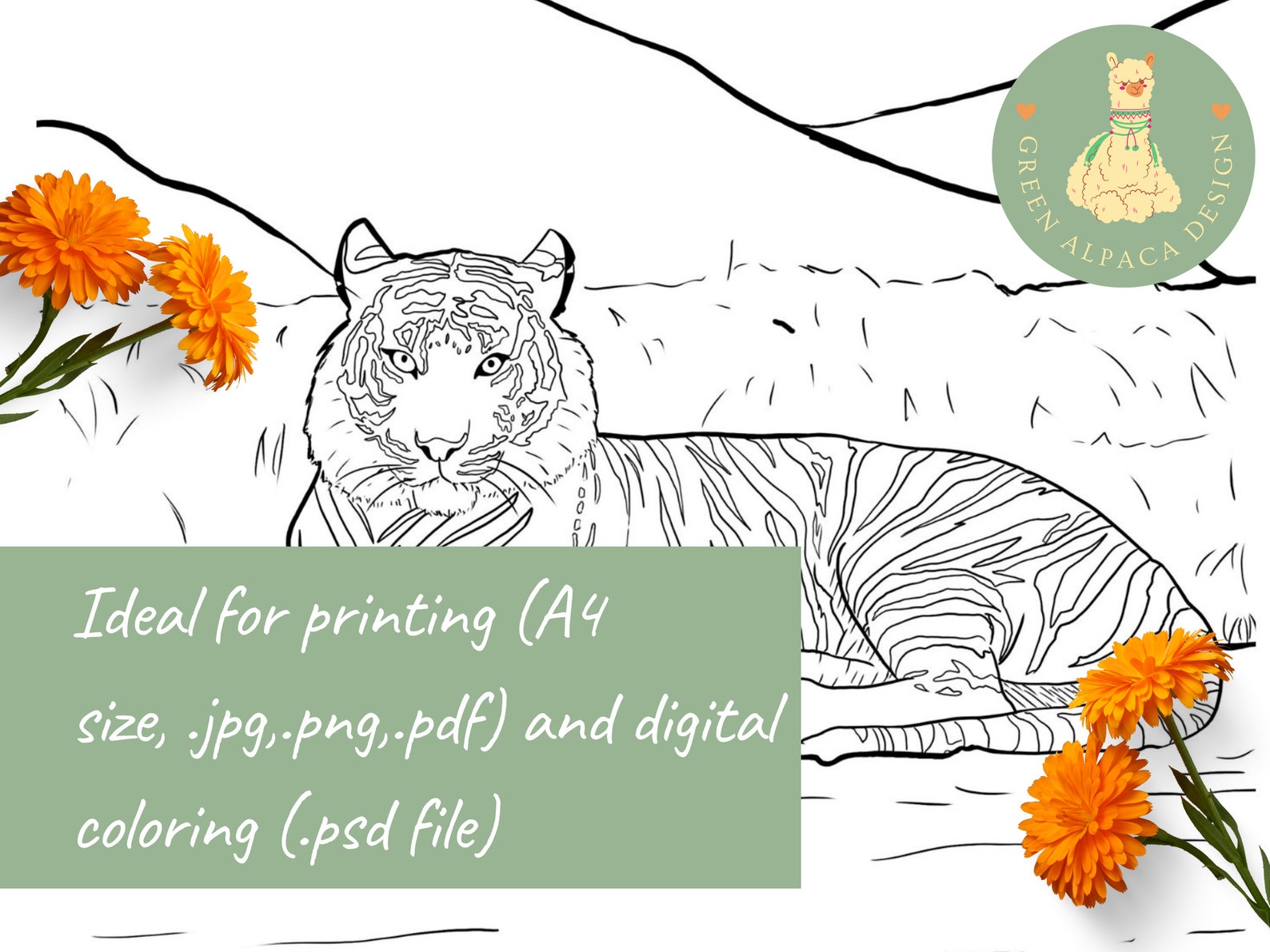 Coloring Page for Adults Wildlife Animal Tiger Printable Adult Coloring ...