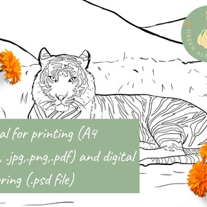Coloring Page for Adults Wildlife Animal Tiger Printable Adult Coloring ...