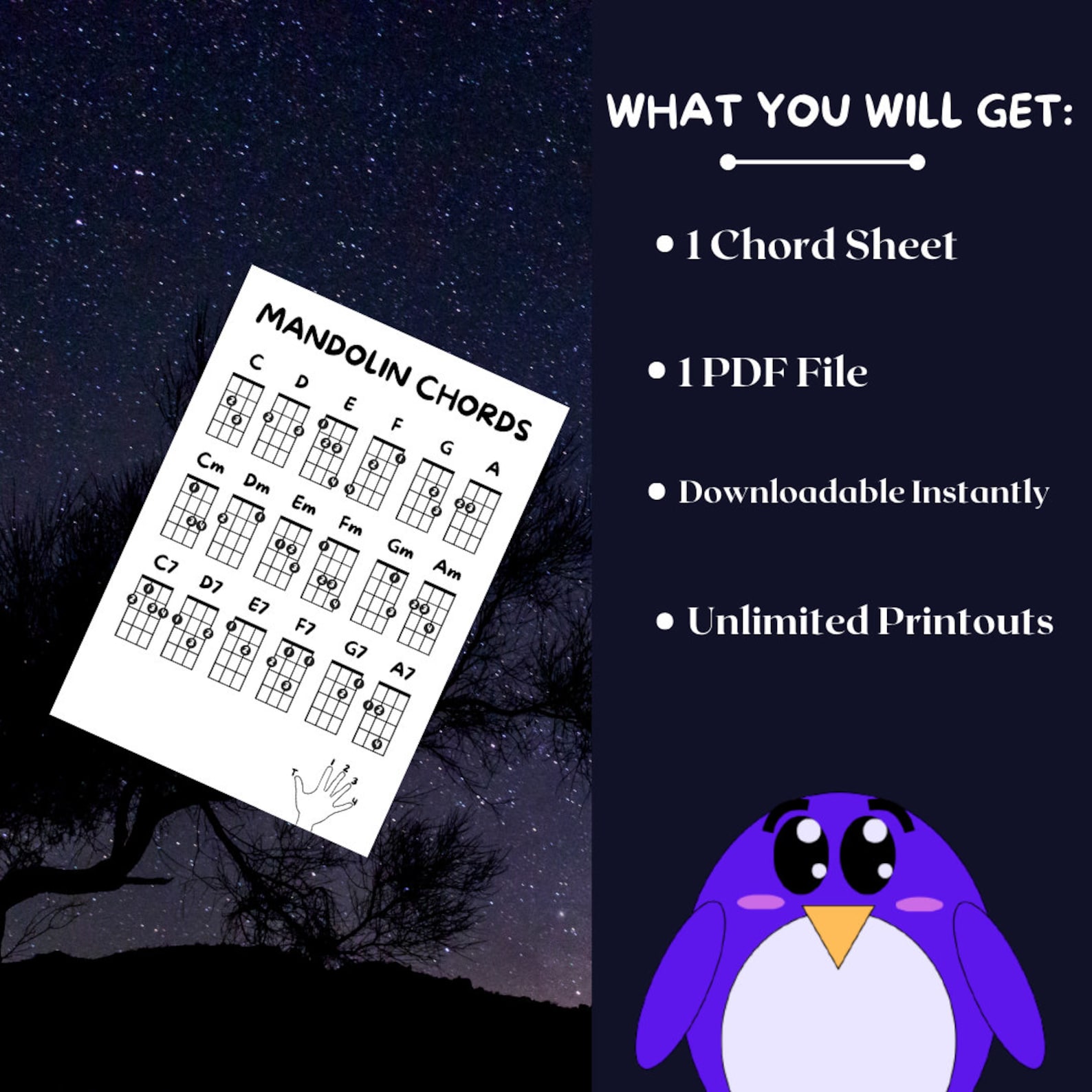 Mandolin Chords Chart for Beginners (printable PDF) - Etsy