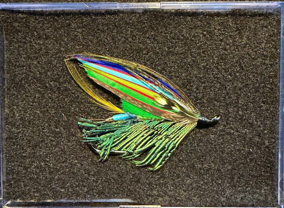 Green Meanie Married-wing Salmon Fly - Etsy