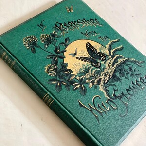 1879 in Berkshire With the Wildflowers by Elaine & Dora Read Goodale ...