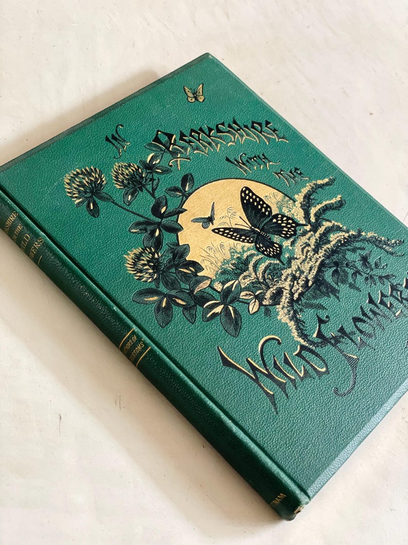 1879 in Berkshire With the Wildflowers by Elaine & Dora Read Goodale ...