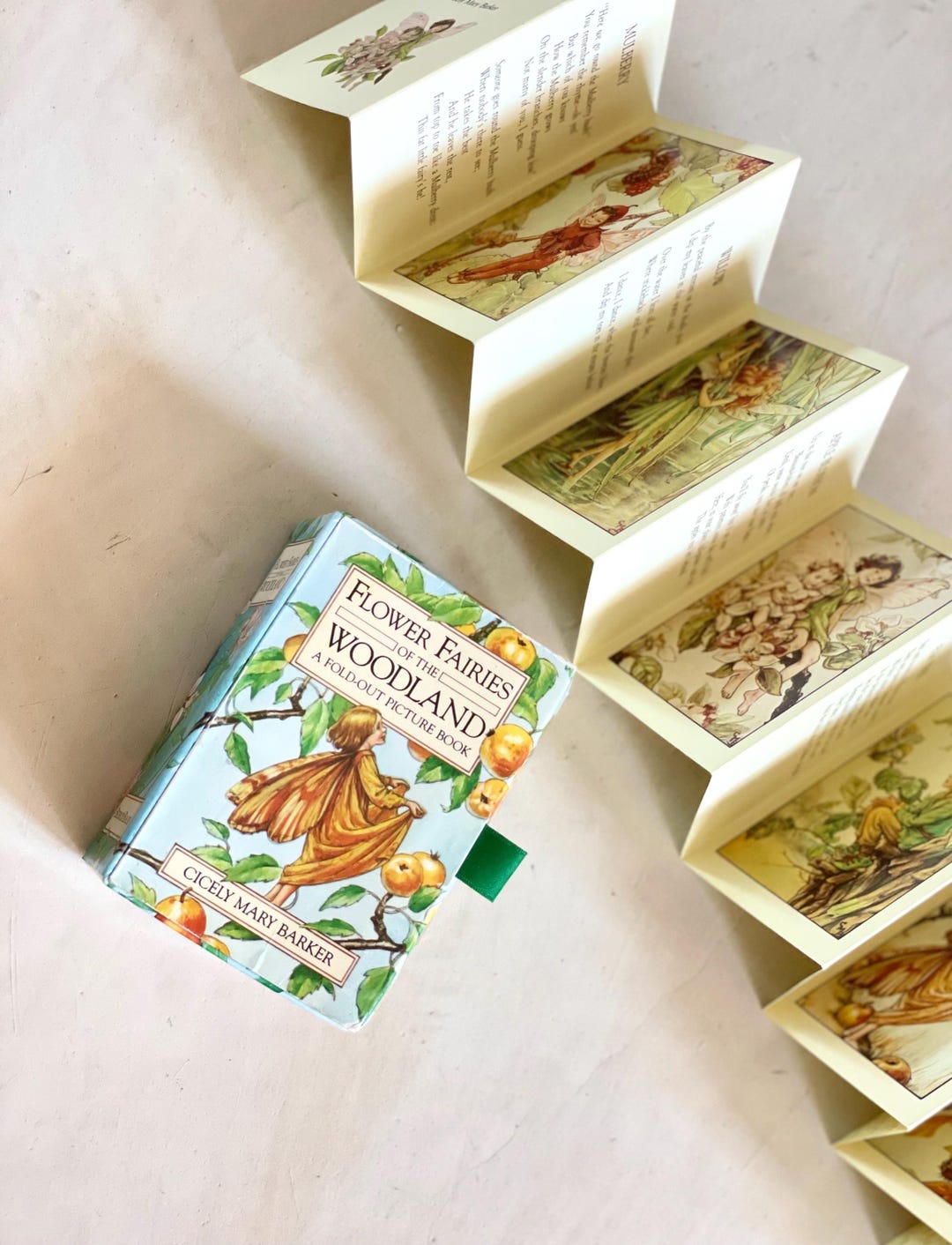 1984 Flower Fairies of the Woodland A Fold-out Picture Book by Cicely ...
