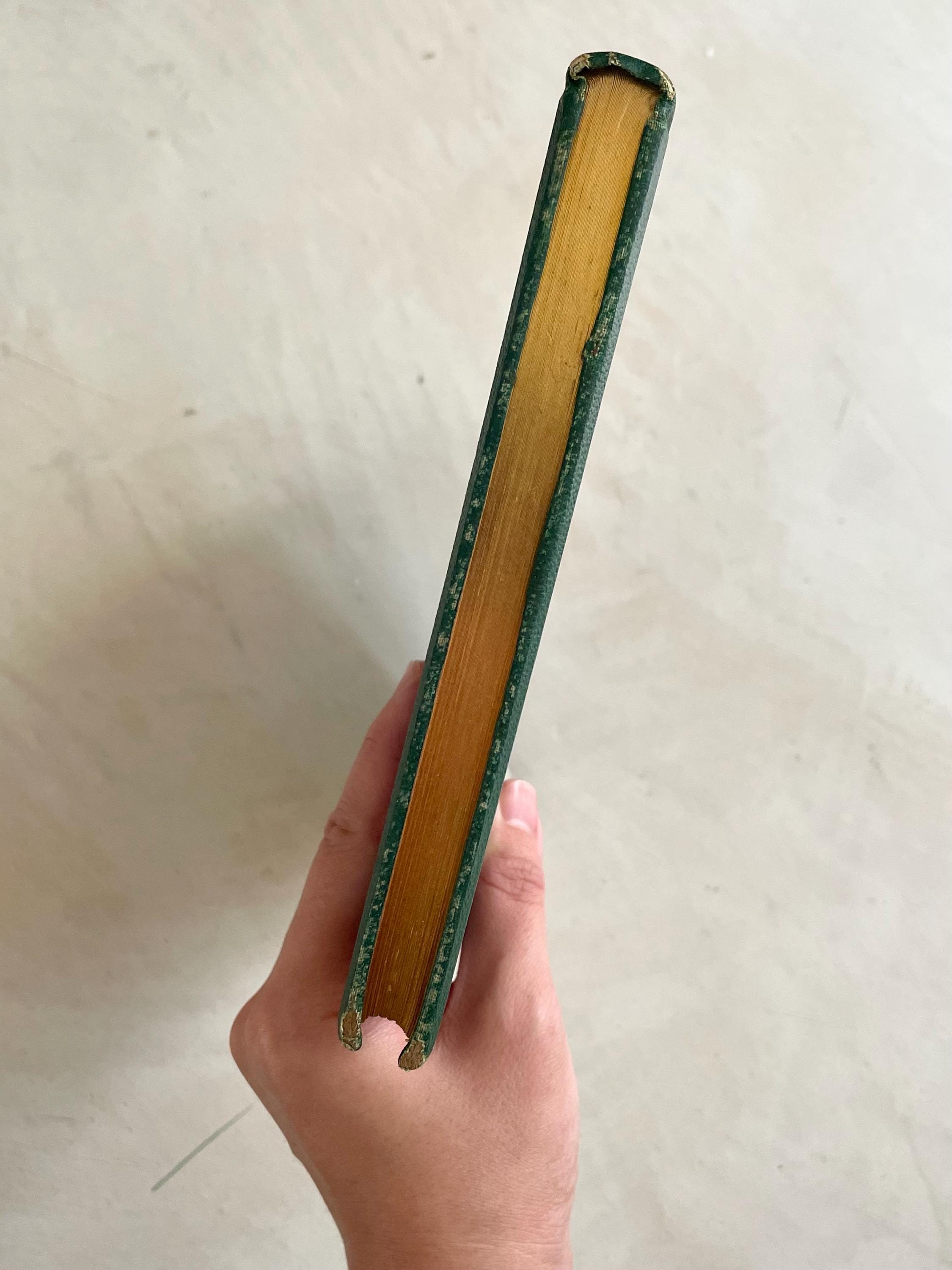 1879 in Berkshire With the Wildflowers by Elaine & Dora Read Goodale ...