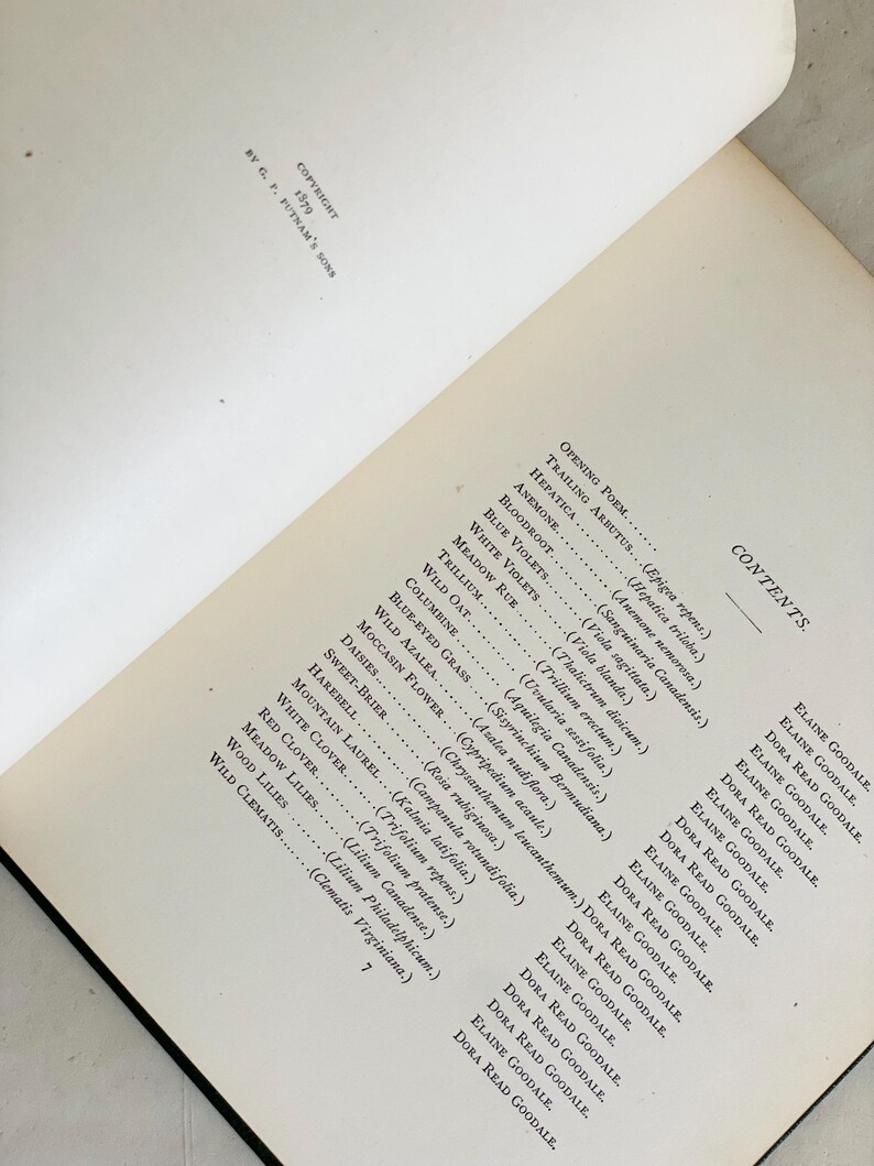 1879 in Berkshire With the Wildflowers by Elaine & Dora Read Goodale ...