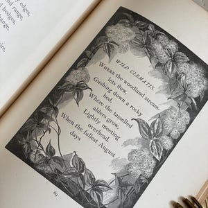 1879 in Berkshire With the Wildflowers by Elaine & Dora Read Goodale ...