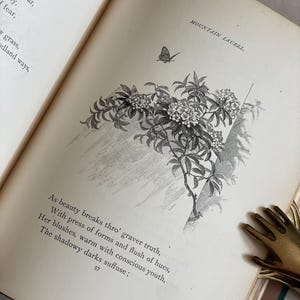 1879 in Berkshire With the Wildflowers by Elaine & Dora Read Goodale ...