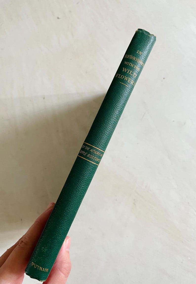 1879 in Berkshire With the Wildflowers by Elaine & Dora Read Goodale ...