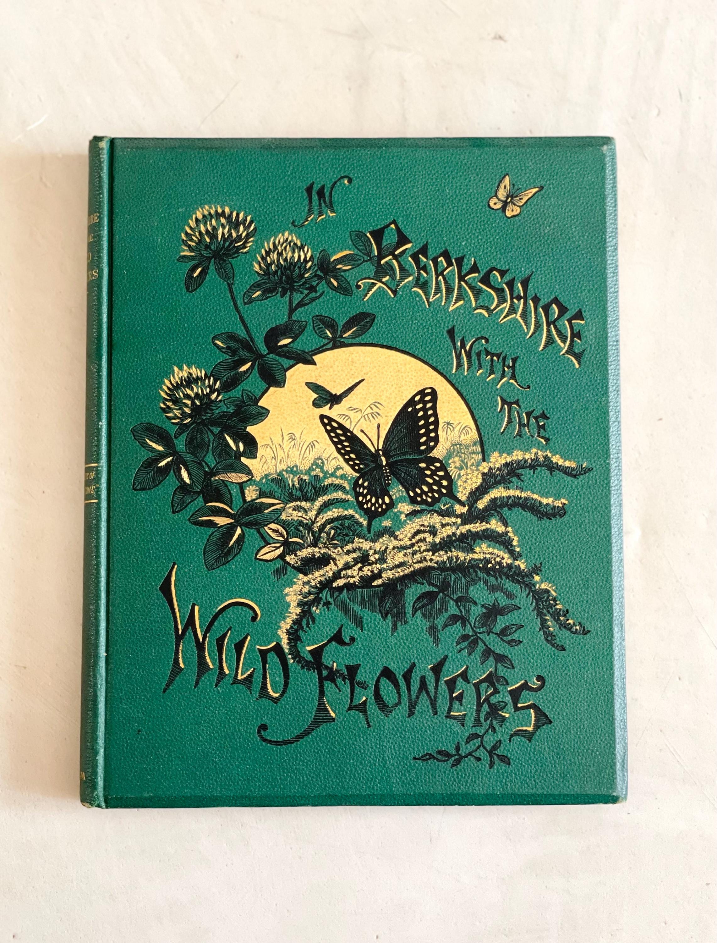 1879 in Berkshire With the Wildflowers by Elaine & Dora Read Goodale ...