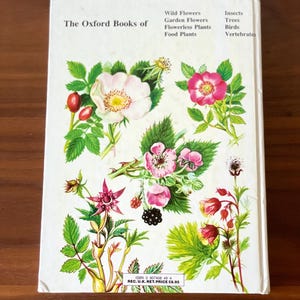 Vintage Flower Book the Oxford Book of Wild Flowers 1985 - Etsy