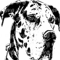Great Dane SVG Vector - Etsy