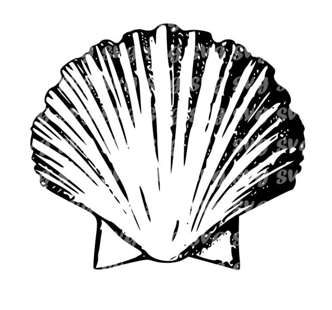 Seashell SVG Vector - Etsy