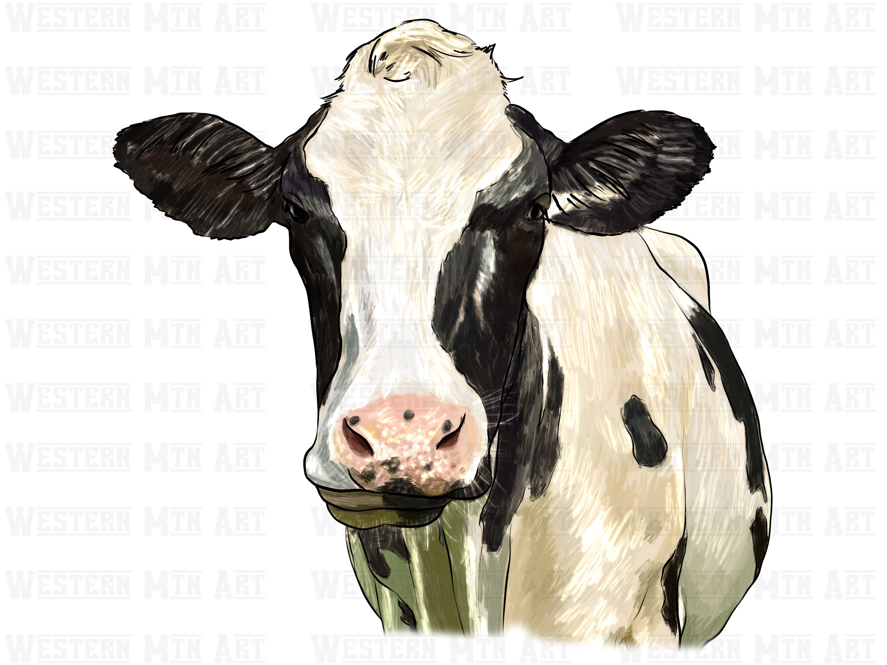 Dairy Cow Face Drawing