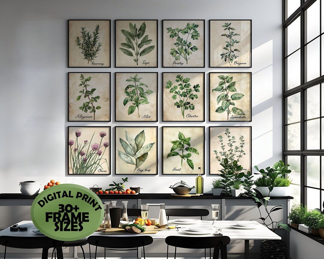 Vintage Watercolor Herbs Wall Art Set of 12 Farmhouse Old Paper Herbs ...