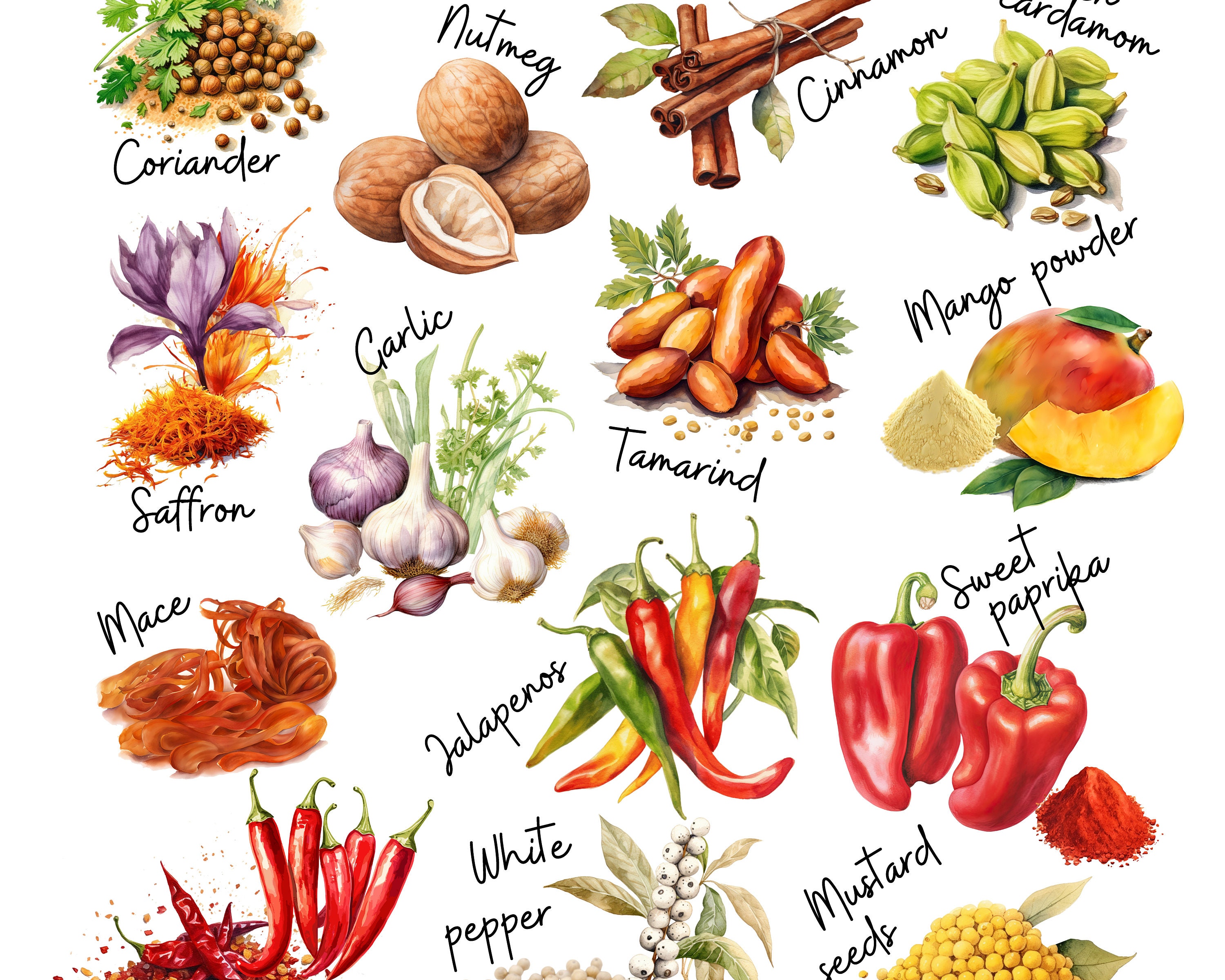Watercolor Indian Food Print Set of 2 Kitchen Herbs and Spices Poster ...