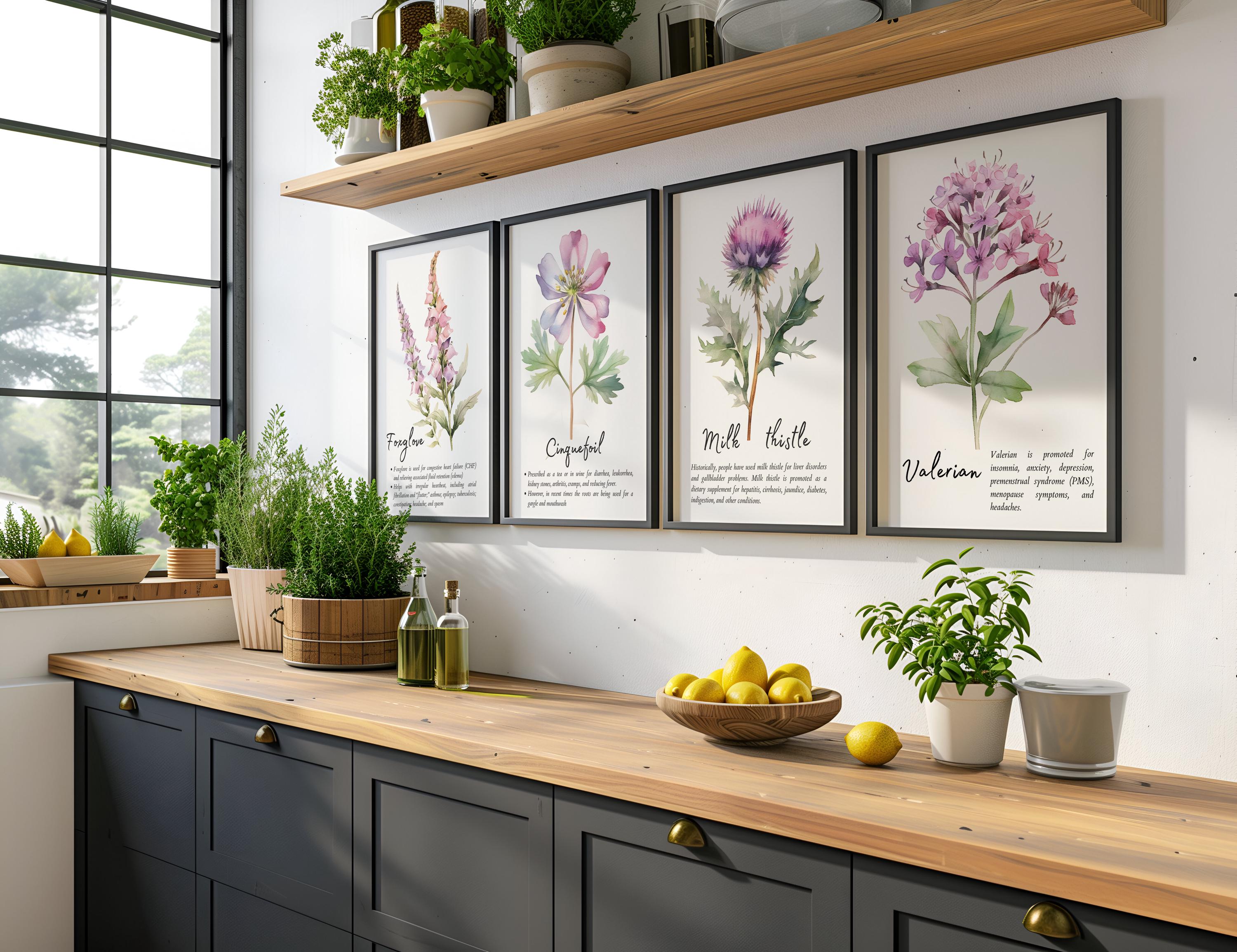 Botanical Pastel Herbs Art Print Set of 3,6,8 or 12, Plant Medicine ...