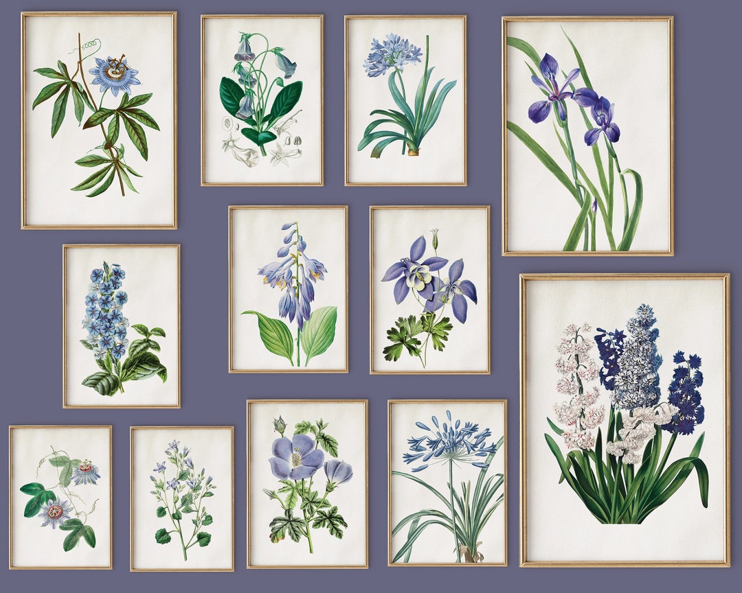 Vintage Blue Flowers Wall Art Set of 12, Blue Lily Iris Passion Flower ...