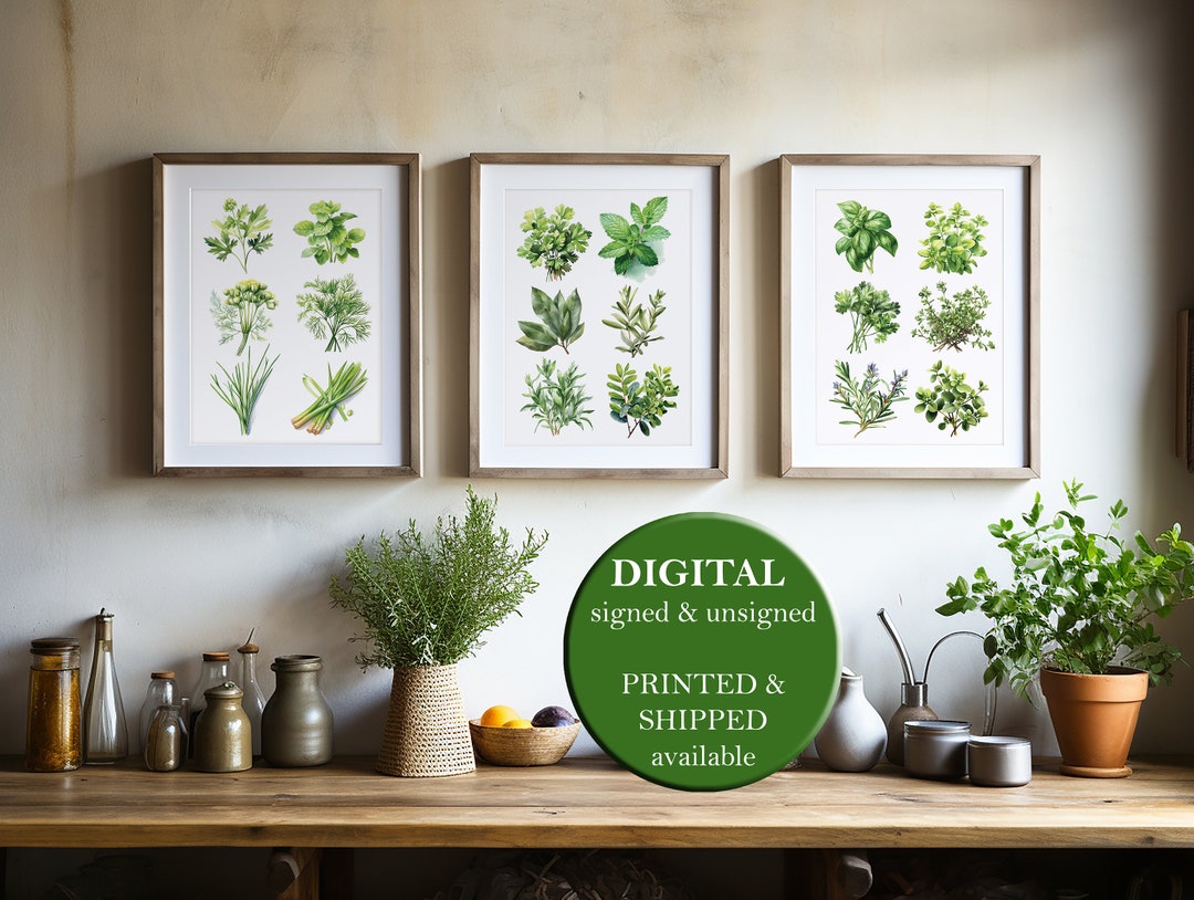 Watercolor Herbs Print Set of Three Herbal Poster Set Herbs Guide Set ...