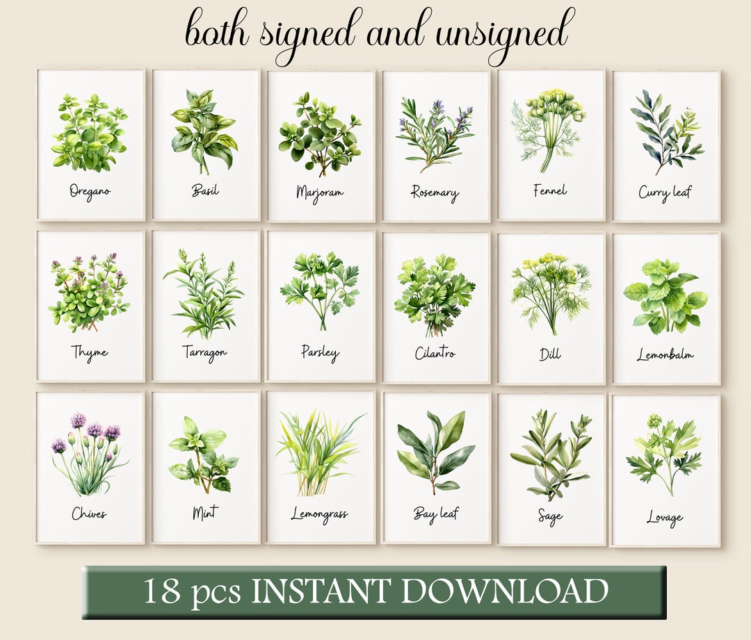Watercolor Herbs Print Set of 18 Herbs Illustrations Rustic Kitchen ...