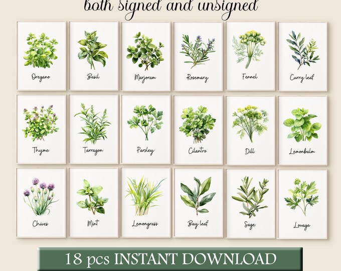 Herbs Print Set of 4, Oregano, Parsley, Rosemary, Oregano With Small Leaves, Herb Prints, Herb ...