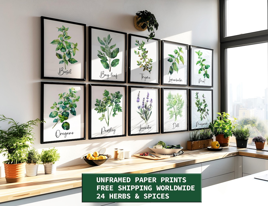 Modern Watercolor Herbs Print Set of 3,6 or 12, Kitchen Botanical Herb ...