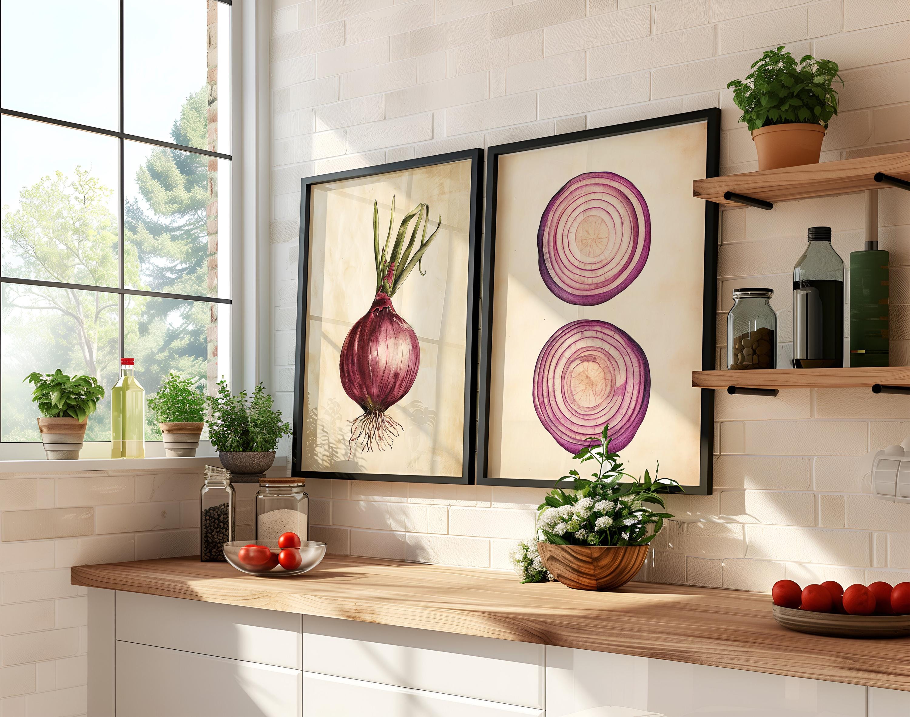 Vintage Garlic Onion Wall Art Set of 12, Cottagecore Ustical Onion Ring ...