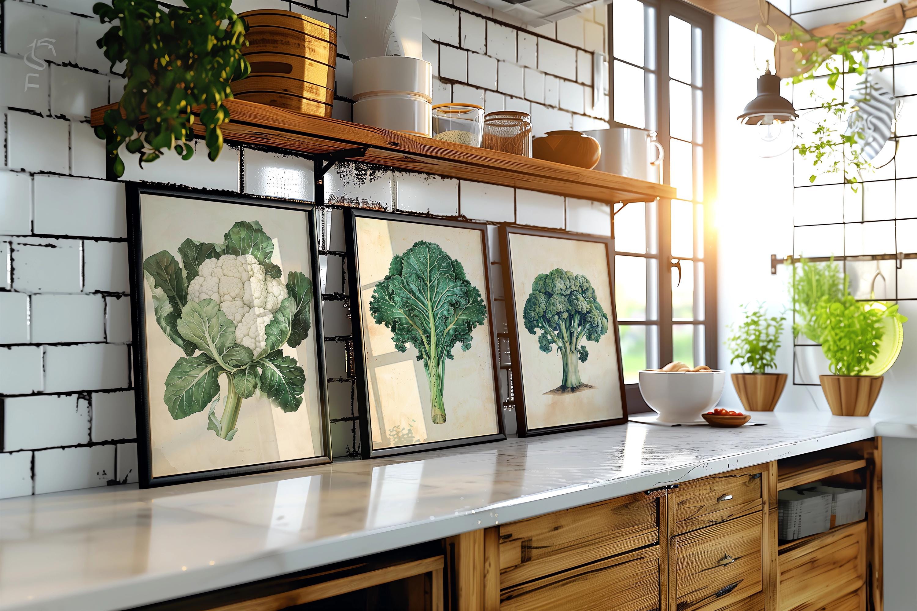 Vintage Zucchini Cucumber Avocado Cauliflower Wall Art Set of 15 ...