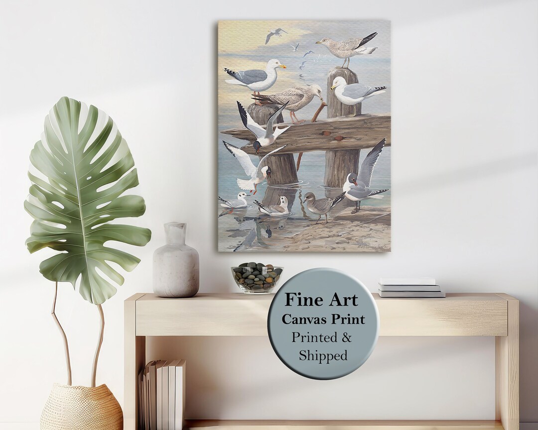 Seagull Canvas Wrap Seagull Art Print Coastal Bird Decor Shore - Etsy