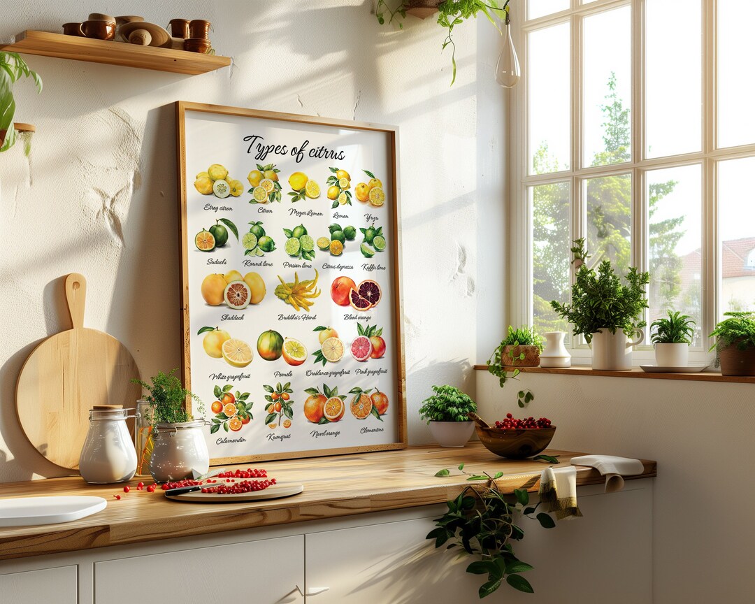 Citrus Types Art Print Set of 4, Citrus Chart Wall Art Set of Four ...