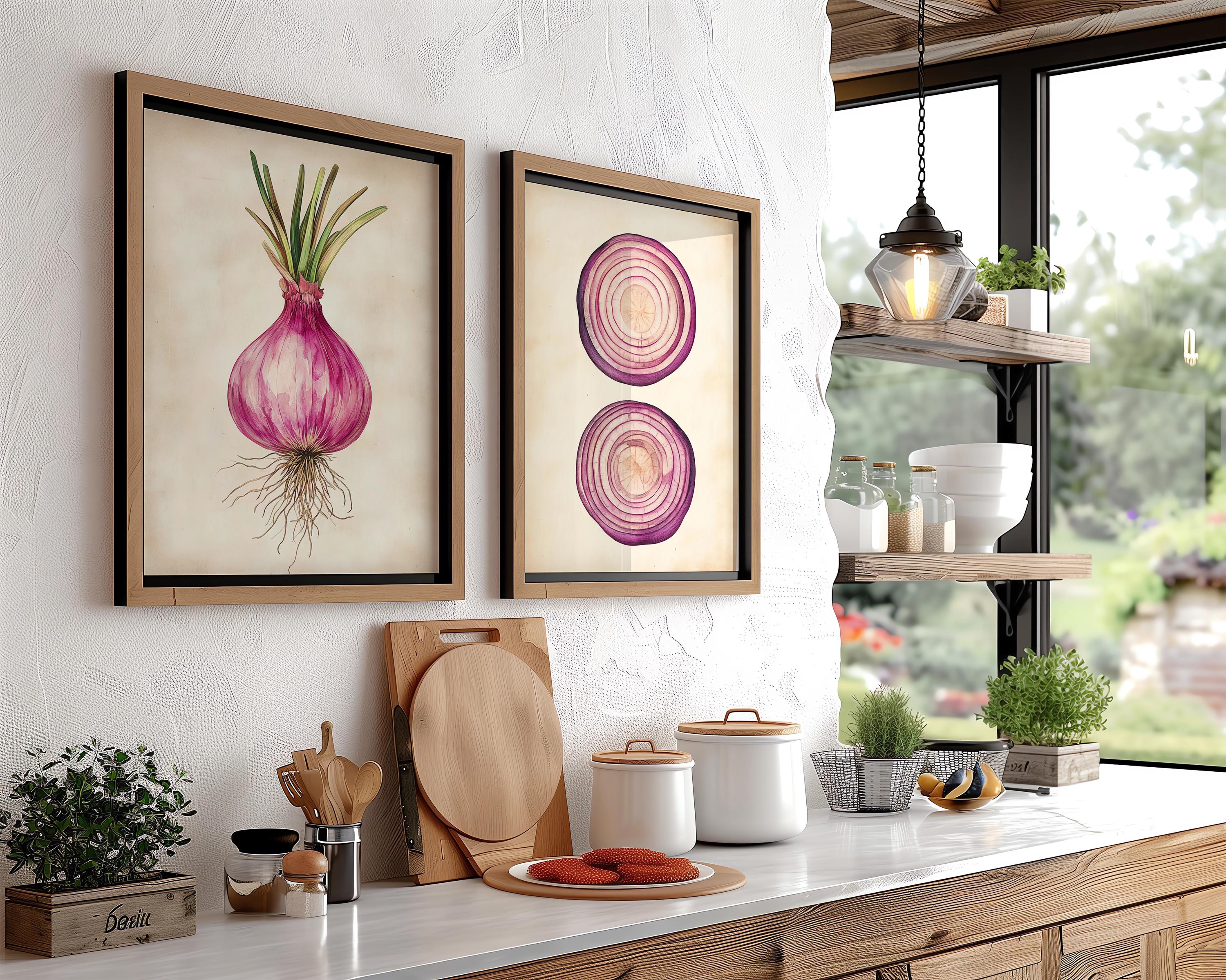 Vintage Garlic Onion Wall Art Set of 12, Cottagecore Ustical Onion Ring ...