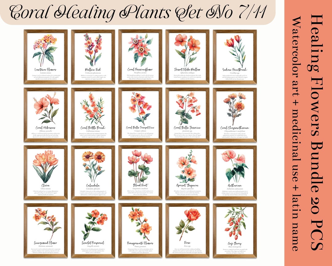 Watercolor Medicinal CORAL Healing Flowers Wall Art Set of 20 Guide ...