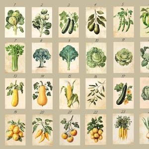 Rustic Vegetable Wall Art Set of 2 3 6, Vintage Veggie Wall Decor ...