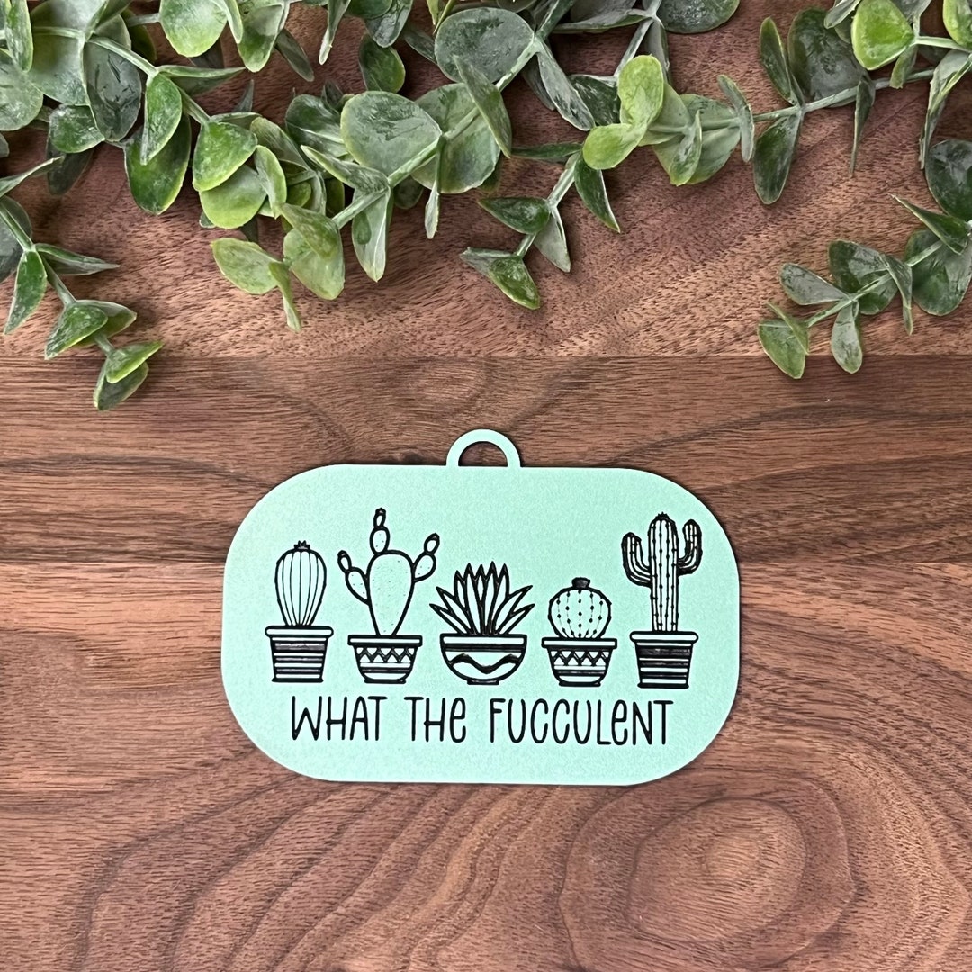 What the Fucculent Planter Box Sign for Small Handmade Indoor Planter ...