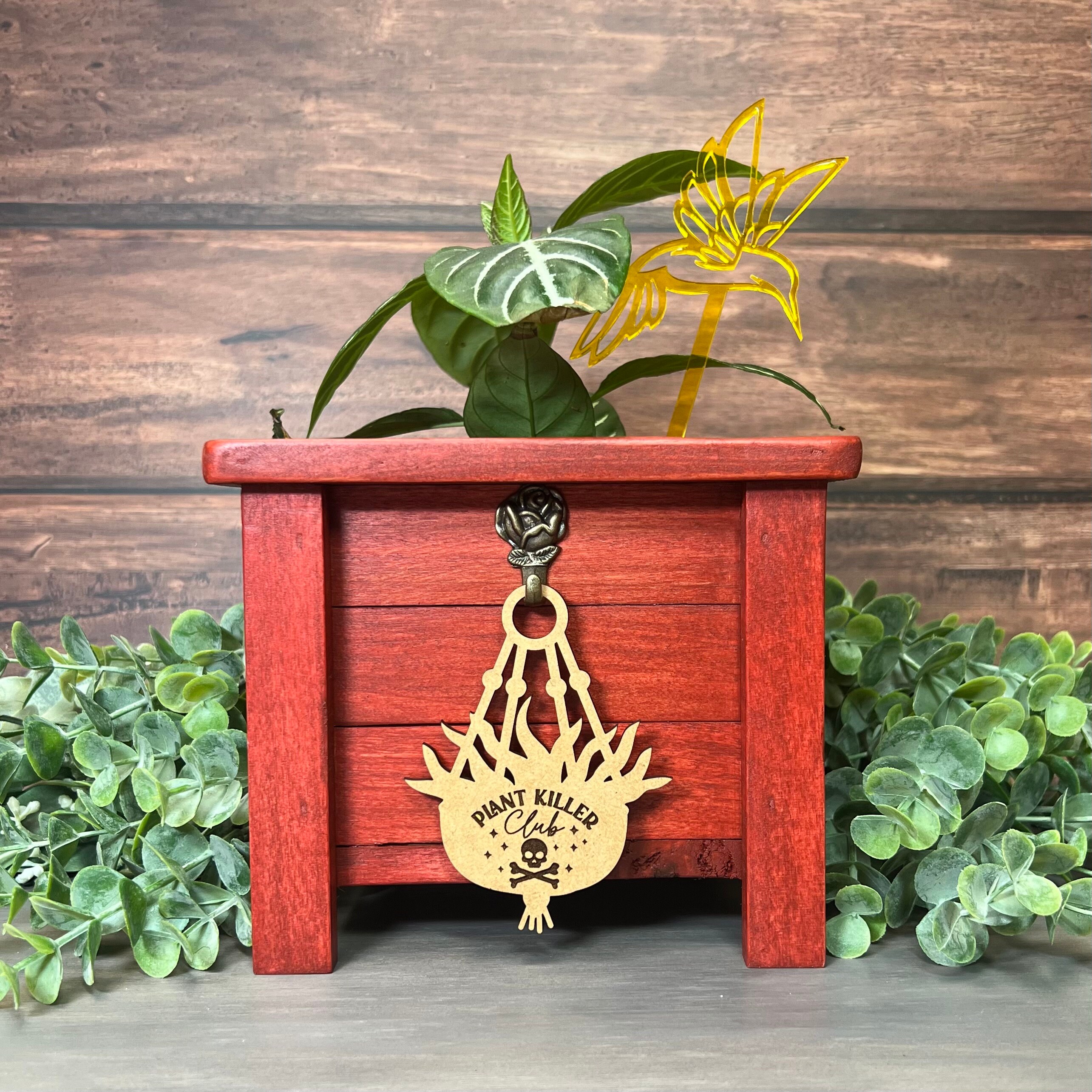 Plant Killer Club Hanging Planter Box Sign for Small Handmade Indoor ...