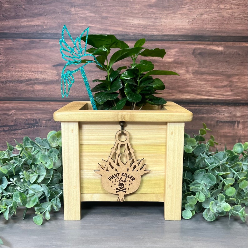 Plant Killer Club Hanging Planter Box Sign for Small Handmade Indoor ...