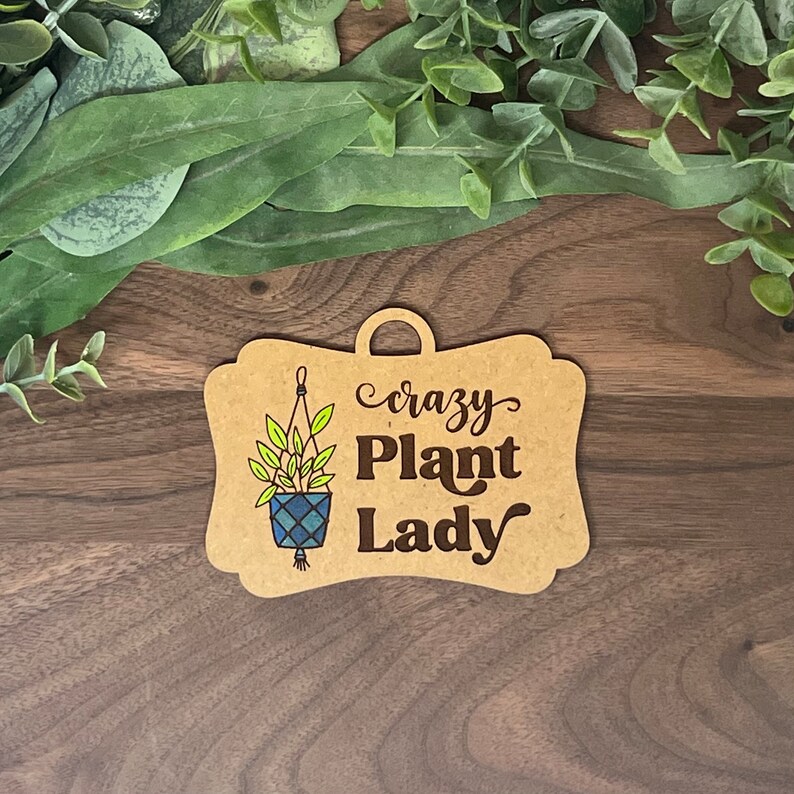 Plant Killer Club Hanging Planter Box Sign for Small Handmade Indoor ...