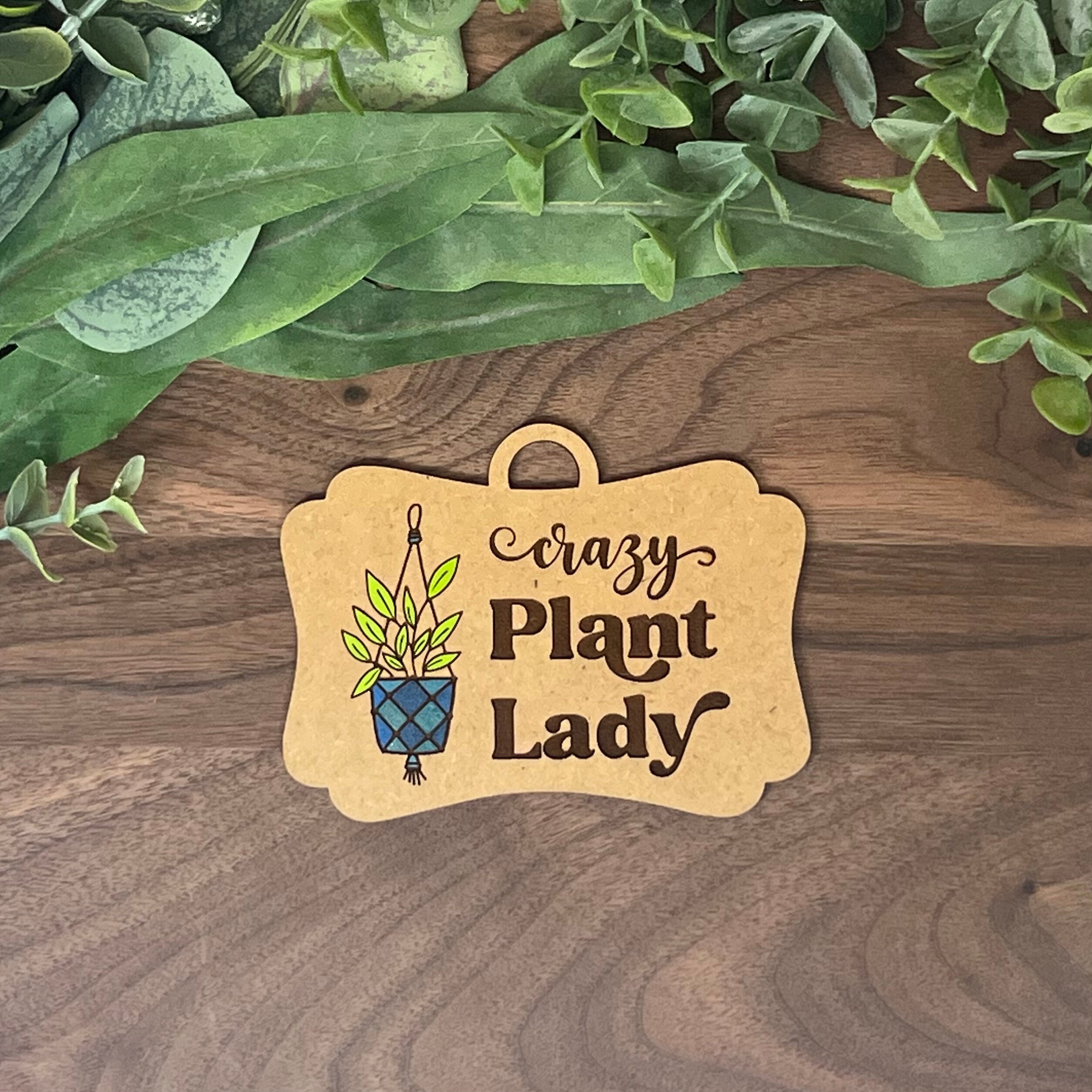 Plant Killer Club Hanging Planter Box Sign for Small Handmade Indoor ...