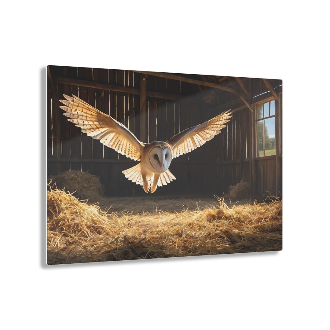 A Majestic Barn Owl Inside a Rustic Barn, Wings Fully Spread and Poised ...